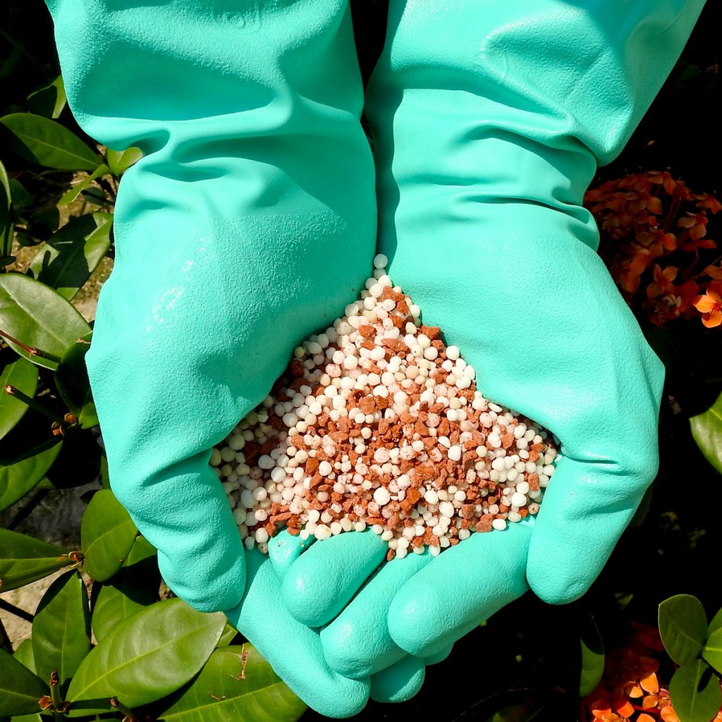 22-11-22 – BEL-AGRO AGRICULTURE