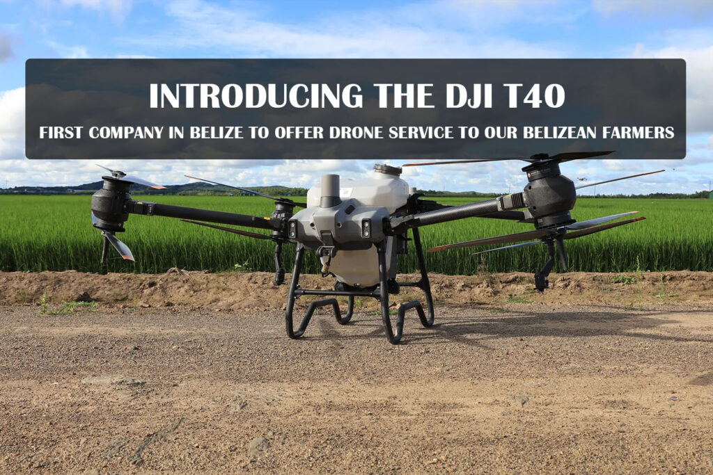 Introducing the DJI AGRAS T40 Drone – BEL-AGRO AGRICULTURE